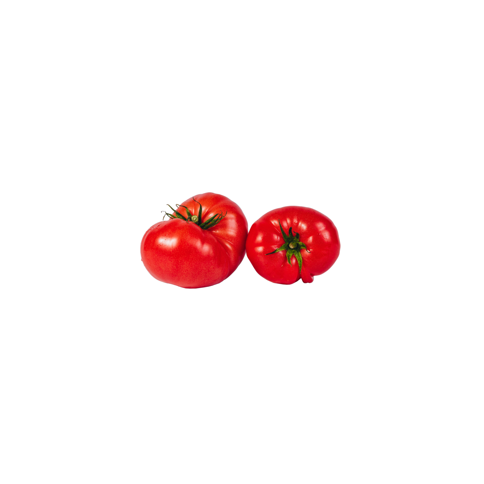 Pan Pomidor